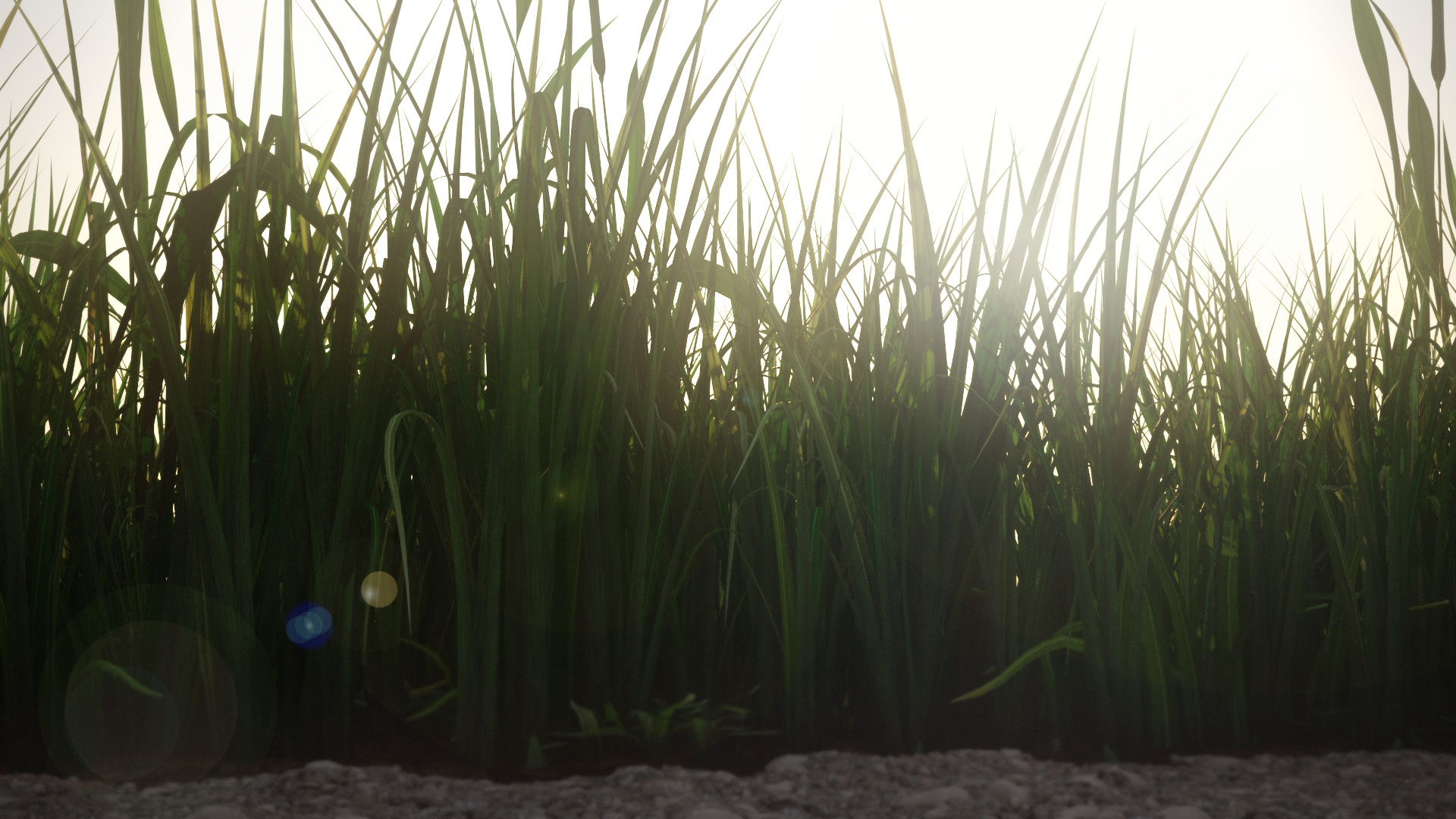 3D1 Primeiro render com V-ray